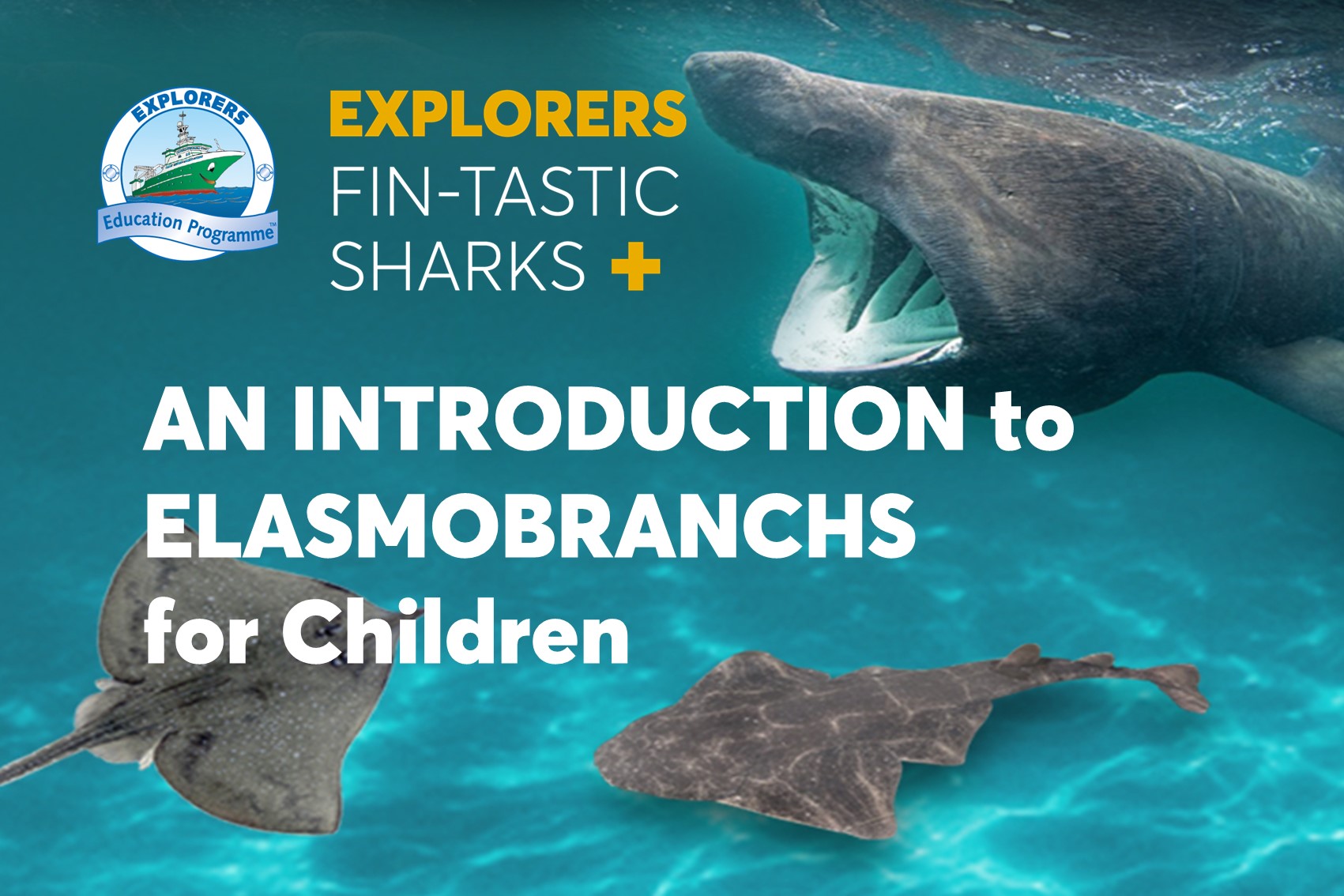 Explorers Marine Project Resources | Marine Institute